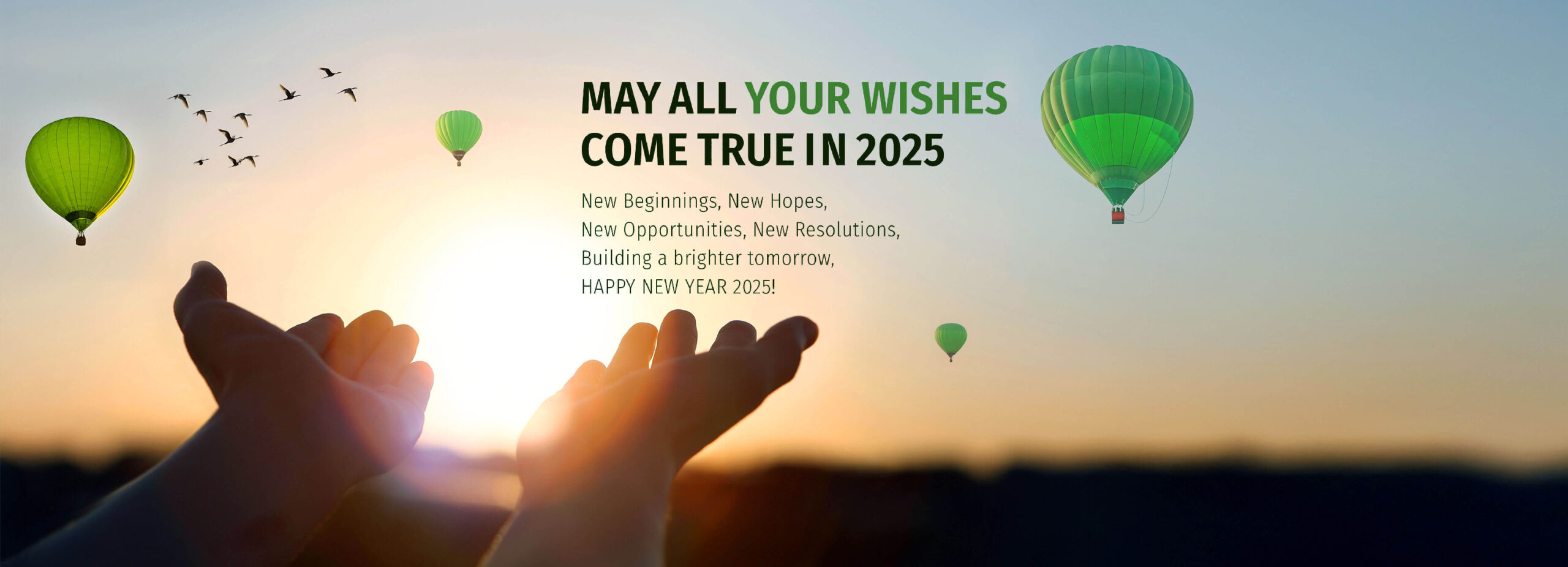 Open Bank Home - Open Bank